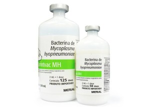 | Linha Produto | Vacinas