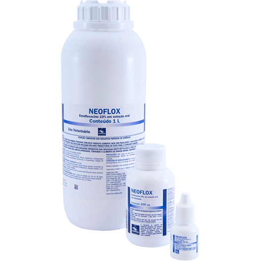 Basso Pancotte | Produtos